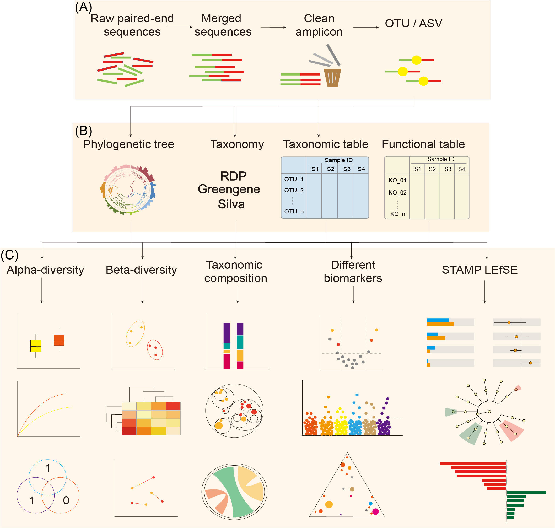 GitHub - YongxinLiu/EasyAmplicon: Easy Amplicon data analysis pipeline